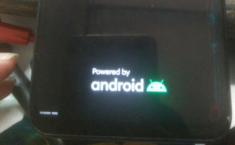 Oppo f11 fix treo recovery | cph1911 hang on recovery - CrackMobile.Net